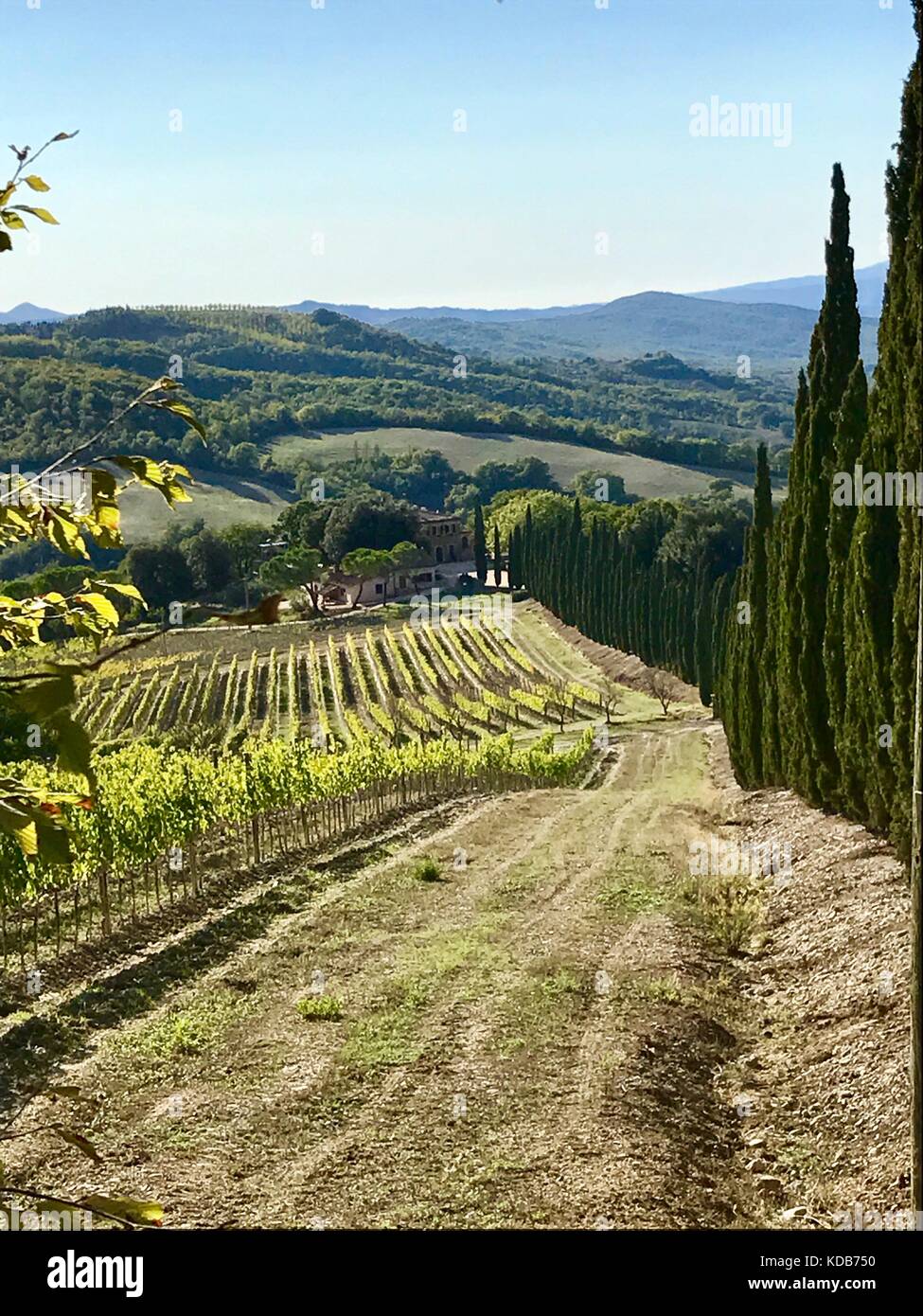 Typical landscape in Tuscany, Italy with cypress trees and hills with ...