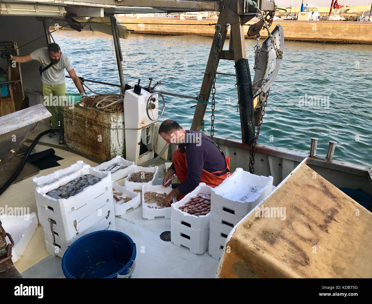 Fisherman sorting fish on trawler hi-res stock photography and images ...