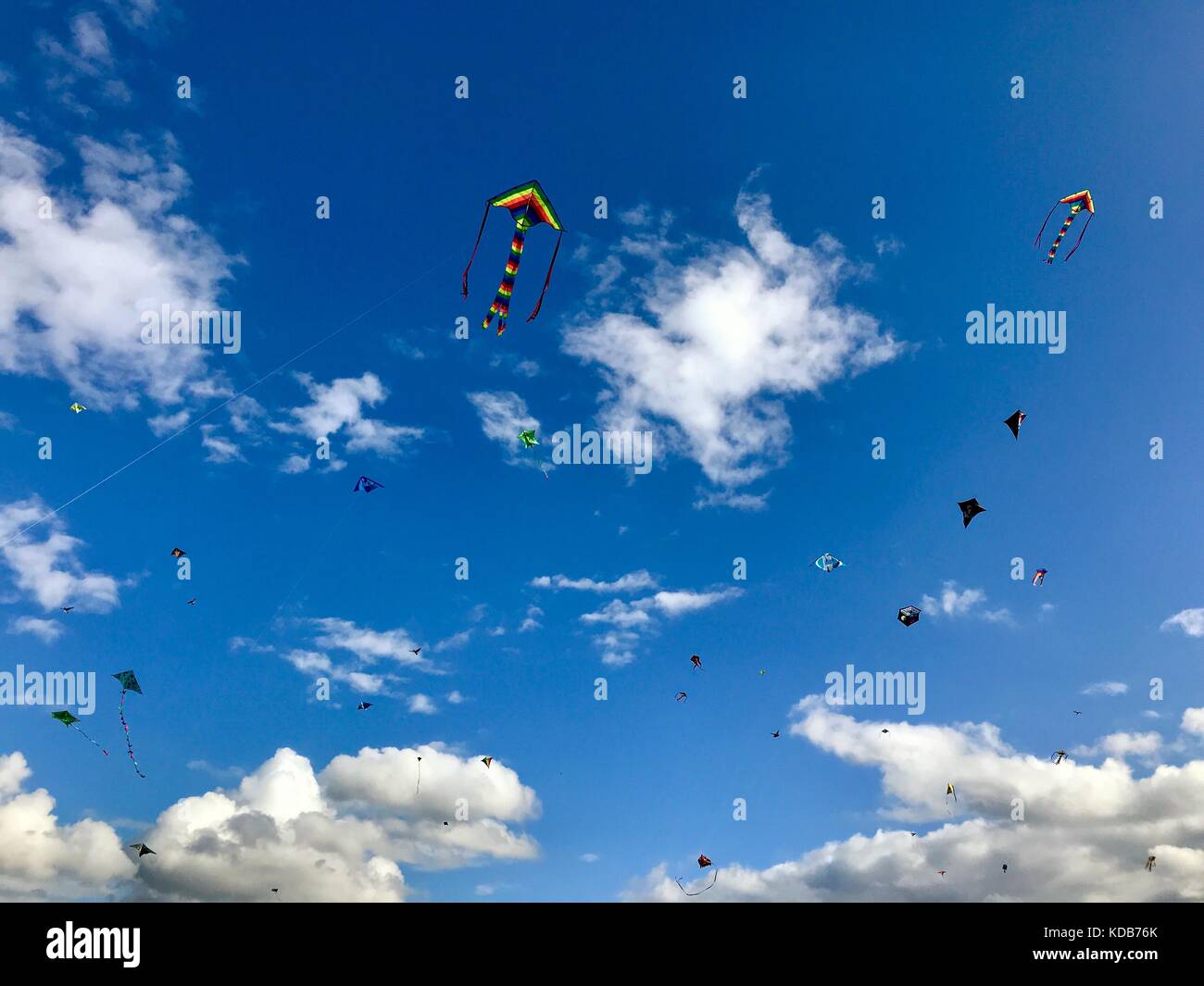 Dozens of kites are soaring in the cloudy sky on a windy autumn day ...