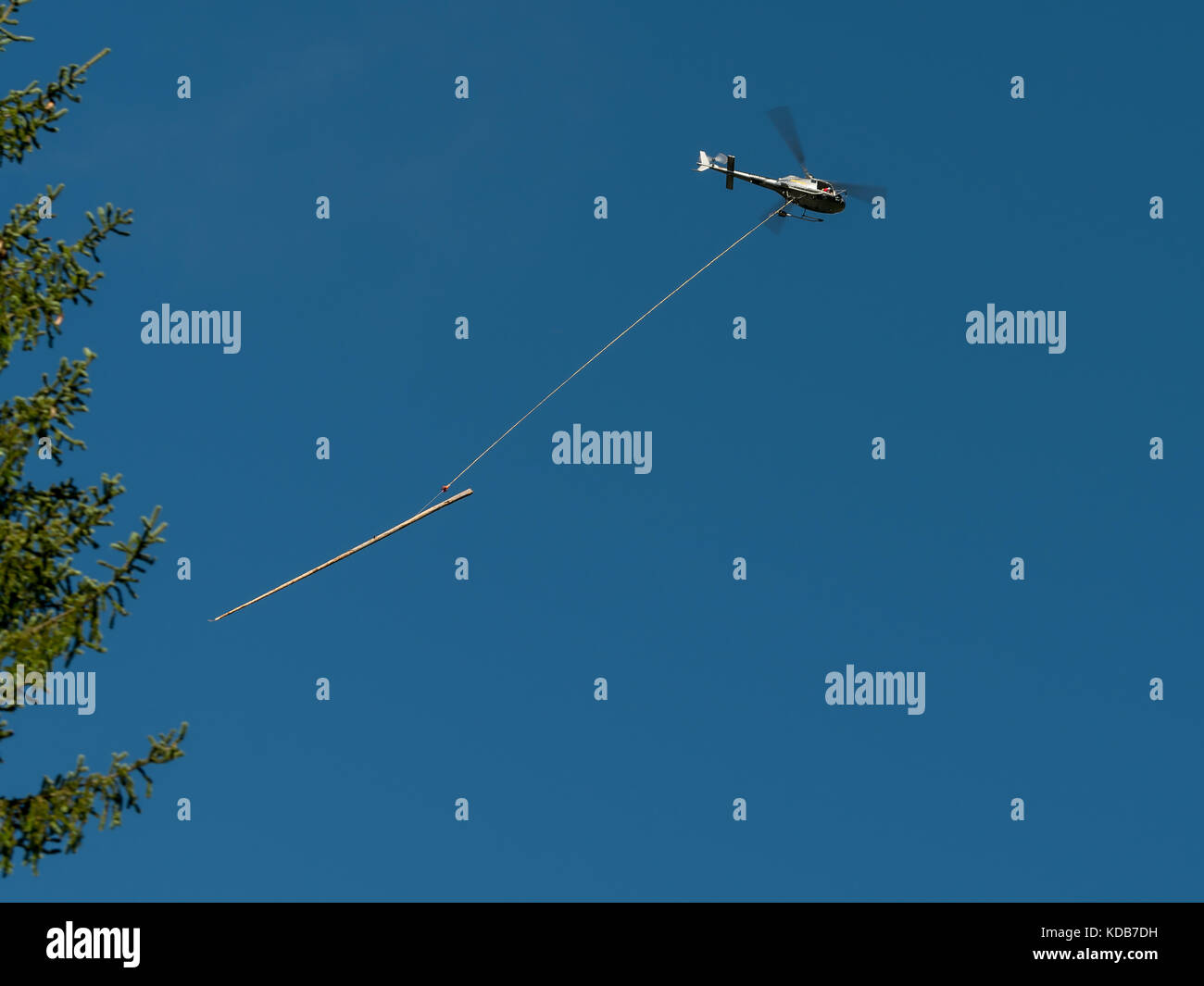 A helicopter transporting a tree trunk blue sky Stock Photo - Alamy