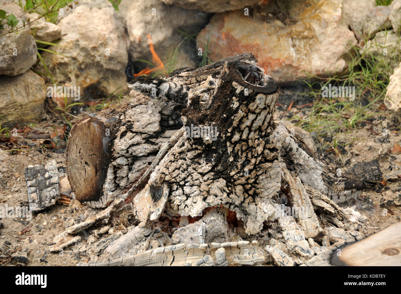 CLoseup of camp fire with wooden bricks and logs Stock Photo - Alamy