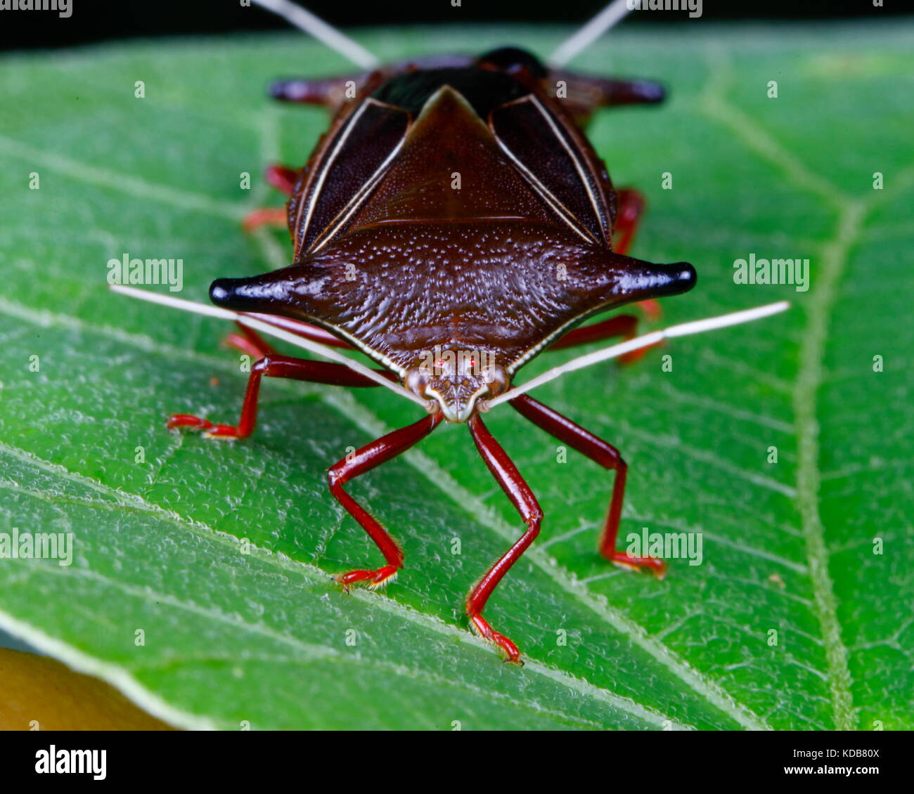 Image of edessa hi-res stock photography and images - Alamy
