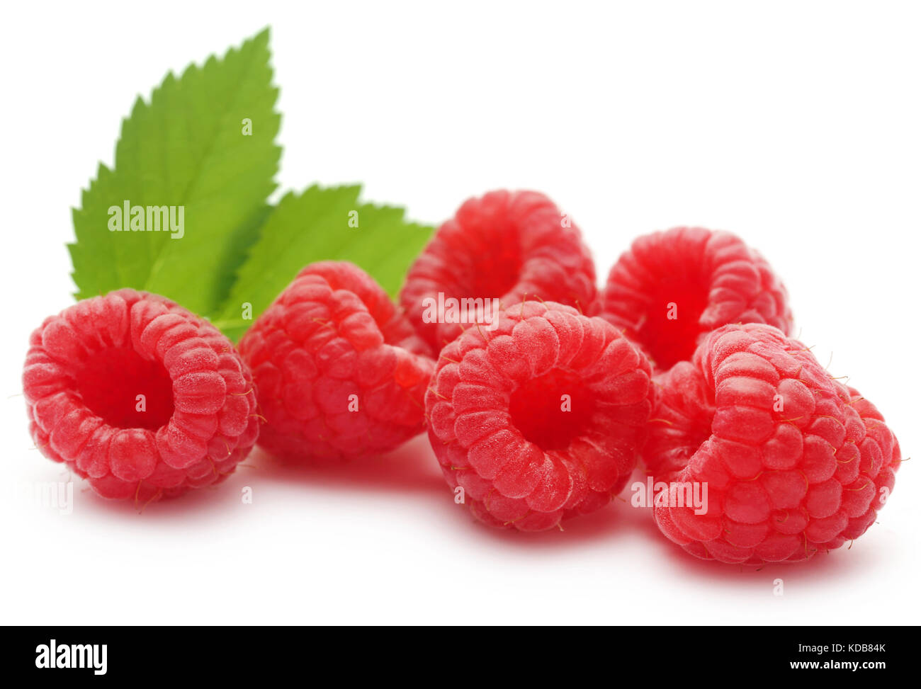 Fresh Raspberry with green leaves over white background Stock Photo - Alamy