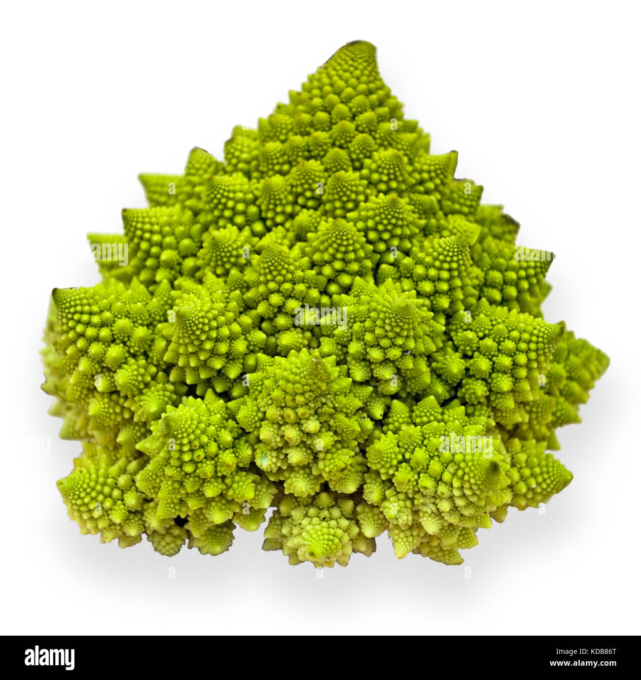 Green romanesque cauliflower Stock Photo - Alamy