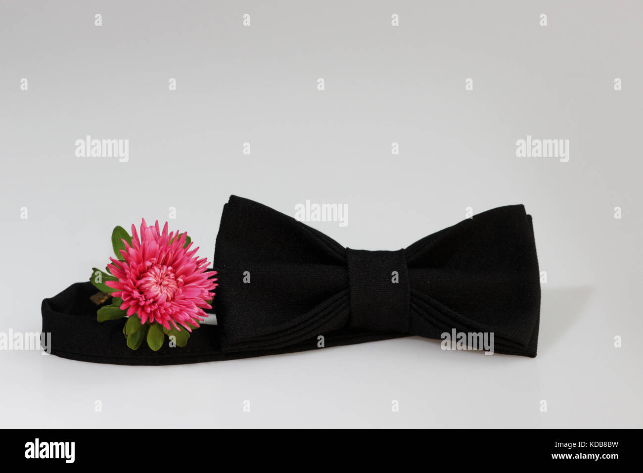 Composition: Extravagant black official classic bow tie and small ...