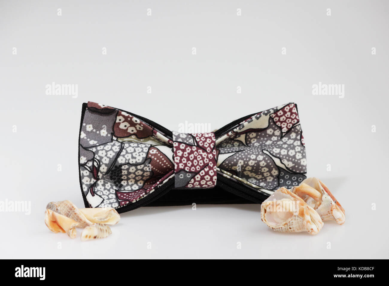Composition: Extravagant bow tie and and semi-frozen seashells from ...