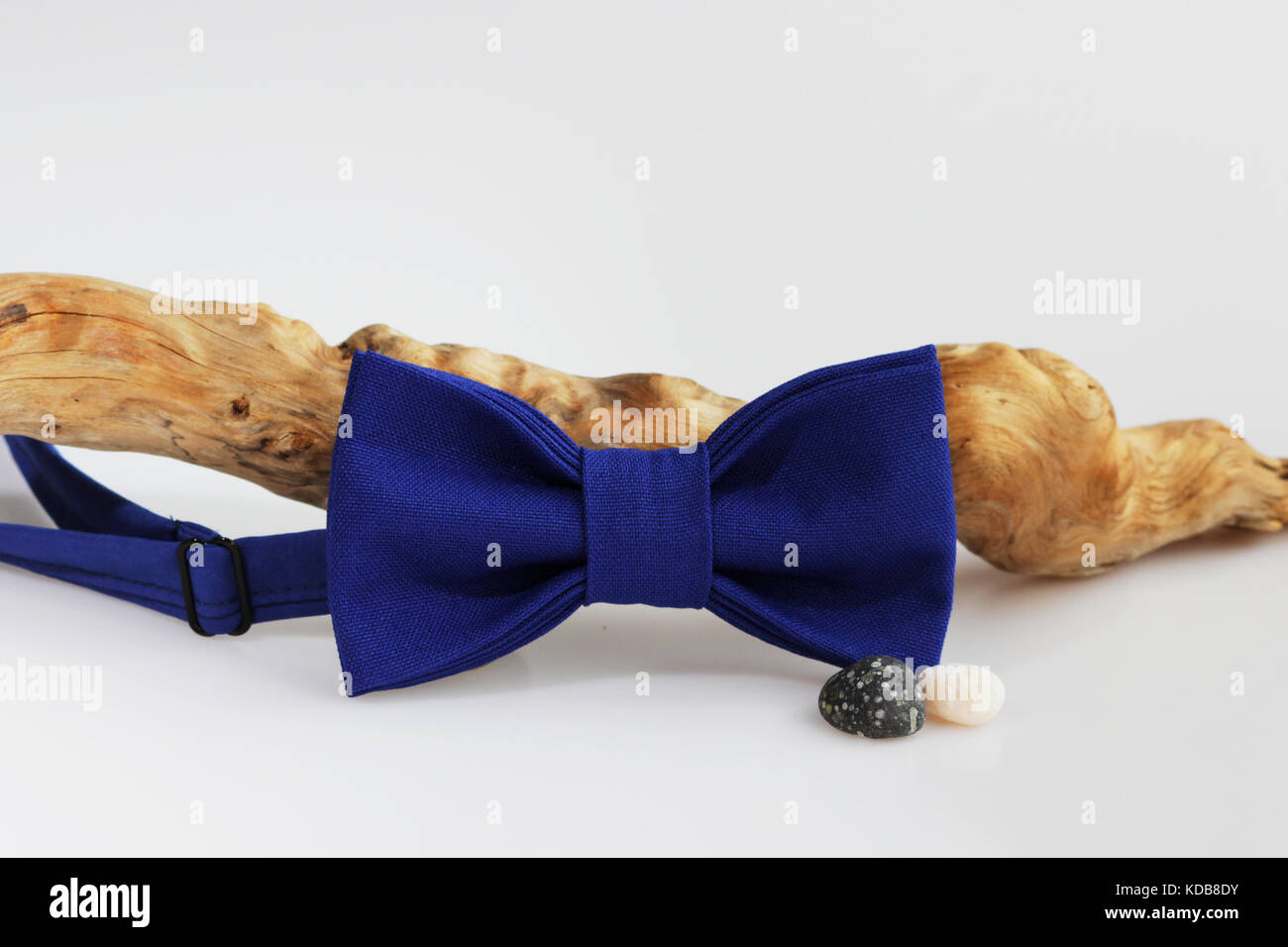 Composition: Extravagant blue bow tie twisted wooden branch and sea ...