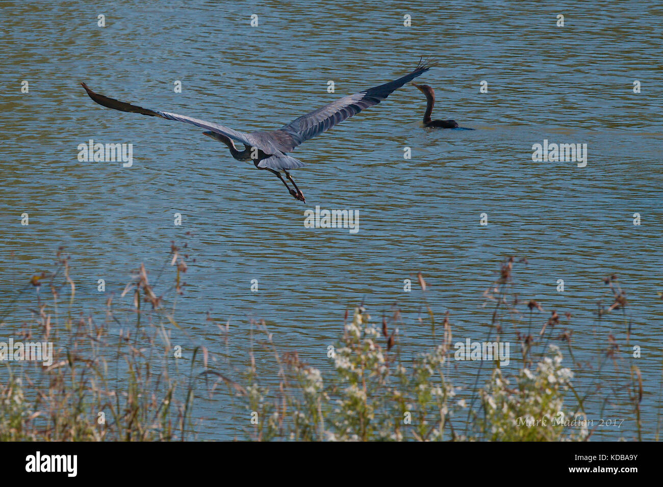 Great Blue waves goodbye Stock Photo - Alamy