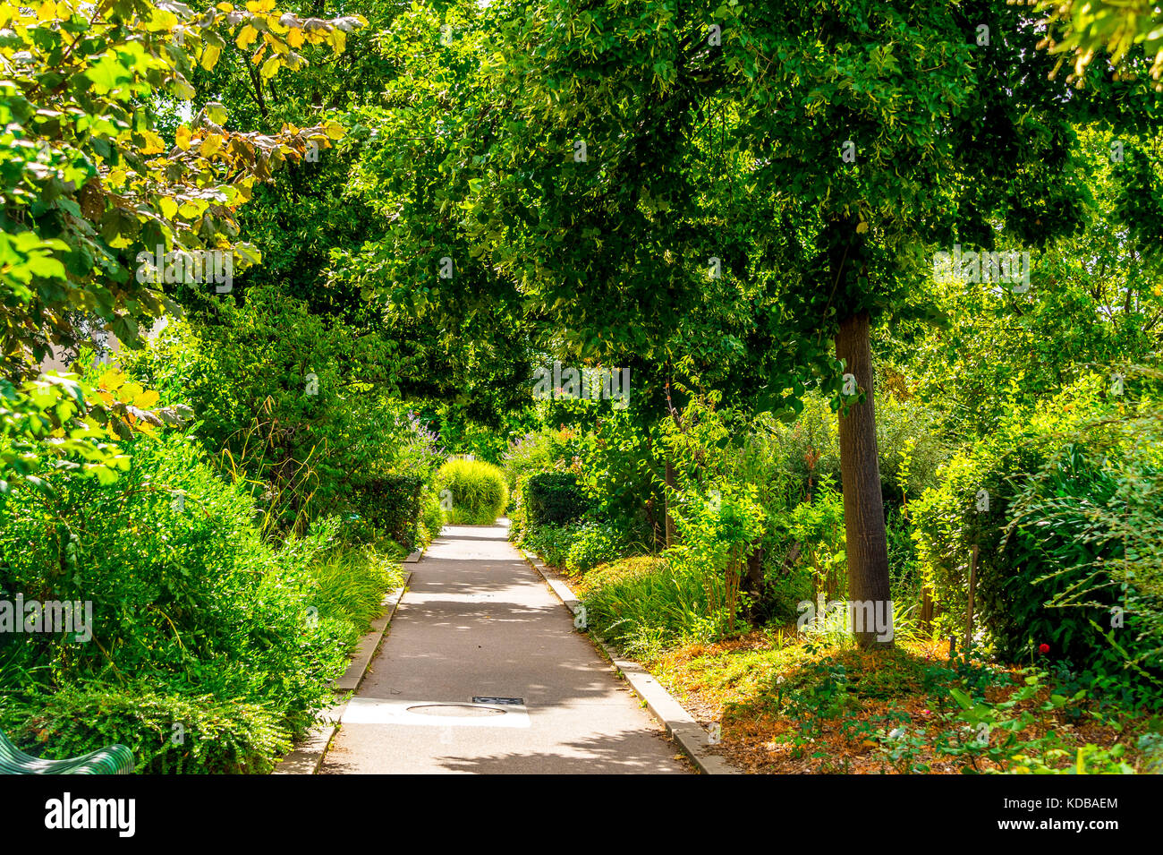 The Promenade Plantee walk in Paris, France Stock Photo - Alamy