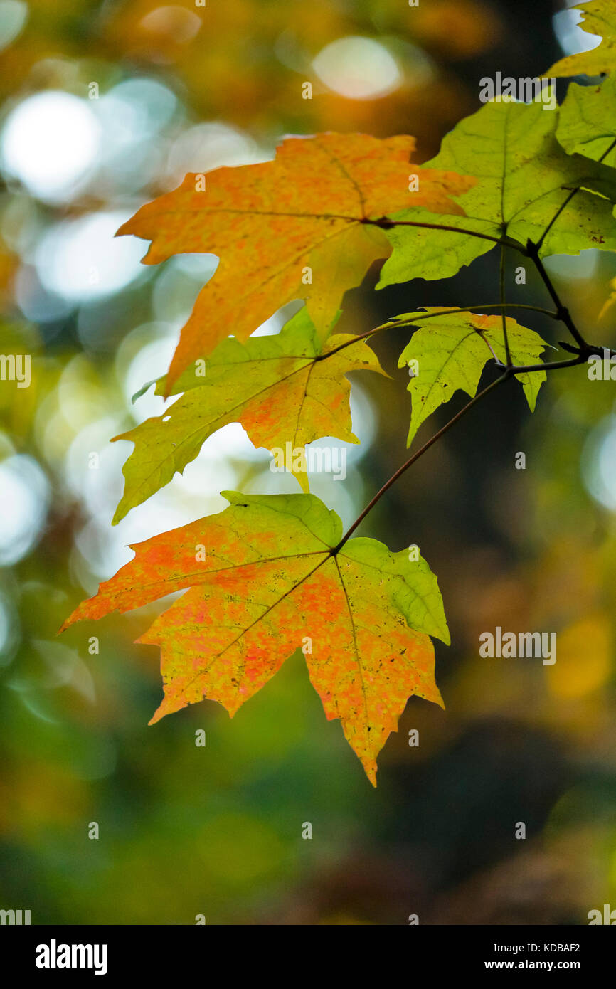 Turning color hi-res stock photography and images - Alamy