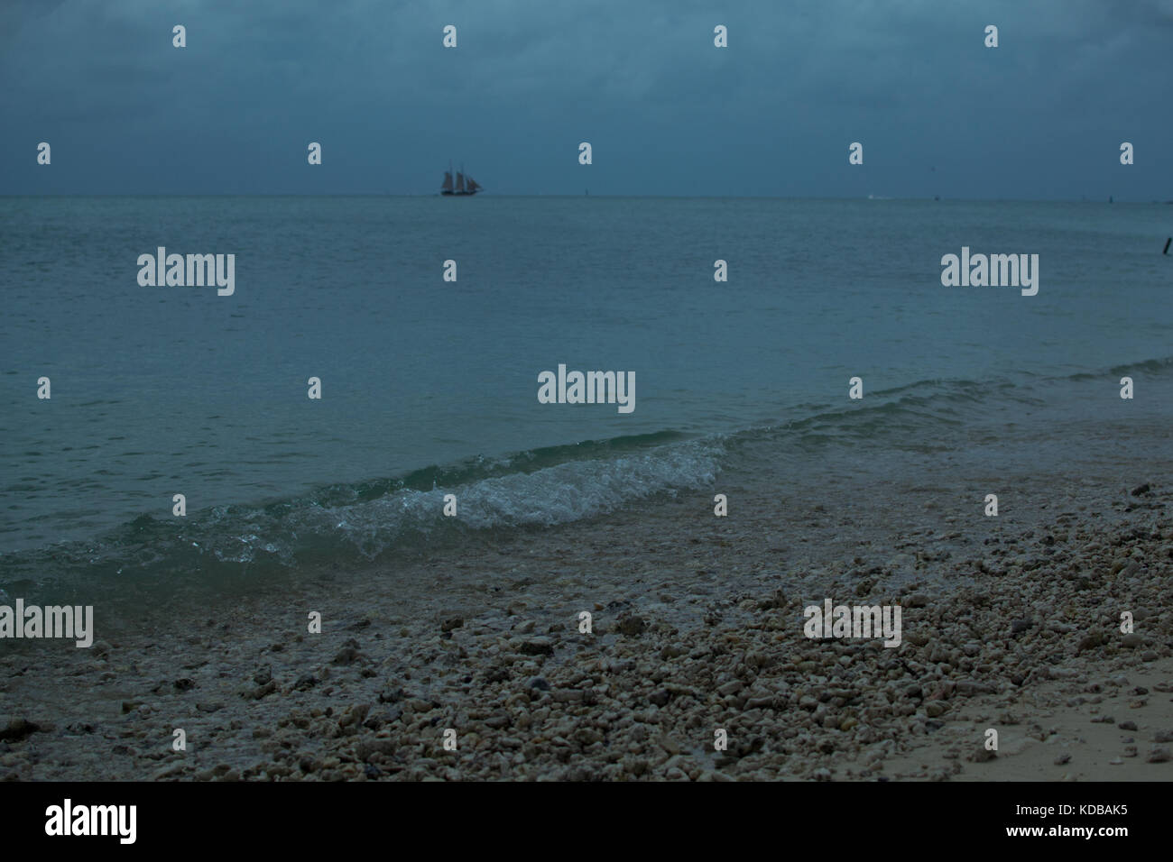 Key west beach Stock Photo - Alamy