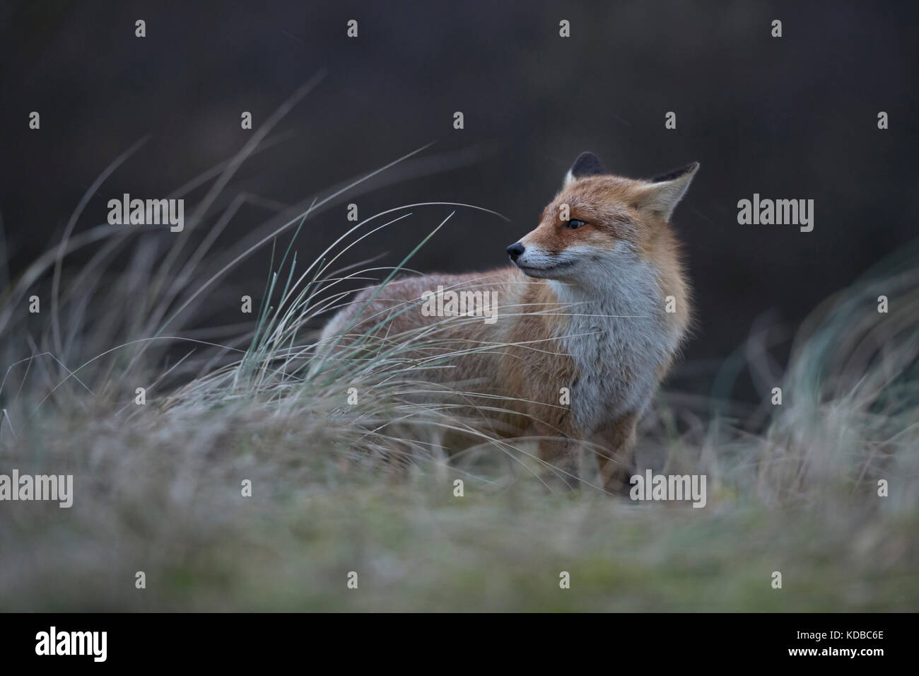 The hunt for red october on set hi-res stock photography and images - Alamy