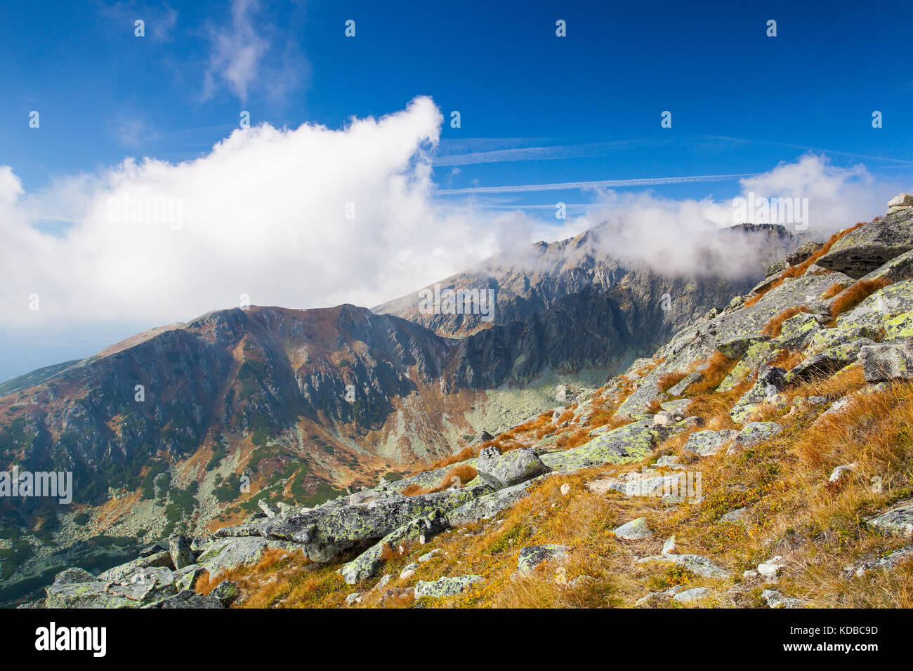 Predne solisko hi-res stock photography and images - Alamy