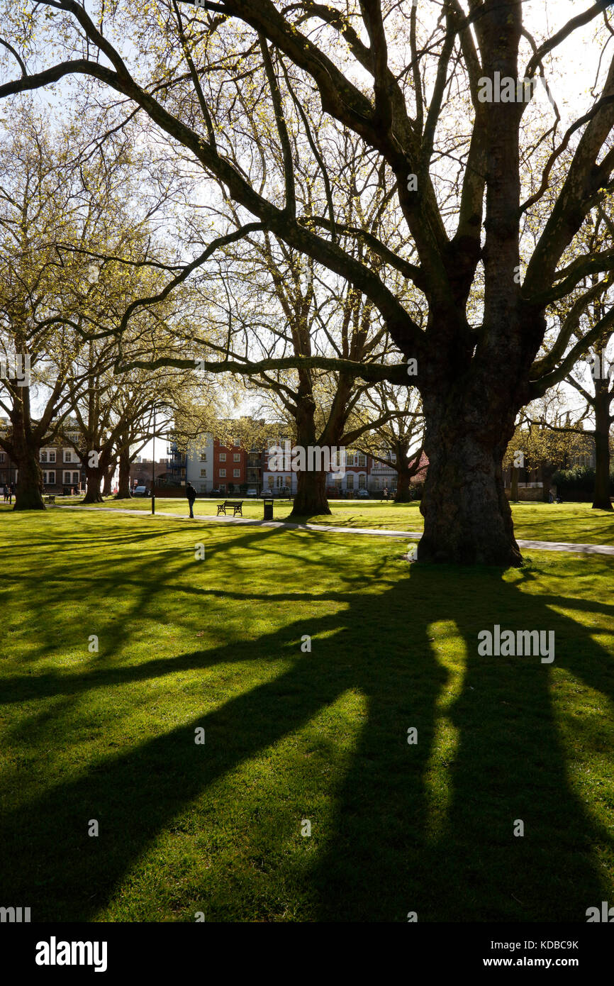 London Fields, Hackney, London, UK Stock Photo - Alamy