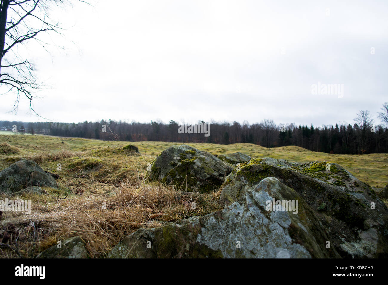 Field stones hi-res stock photography and images - Alamy
