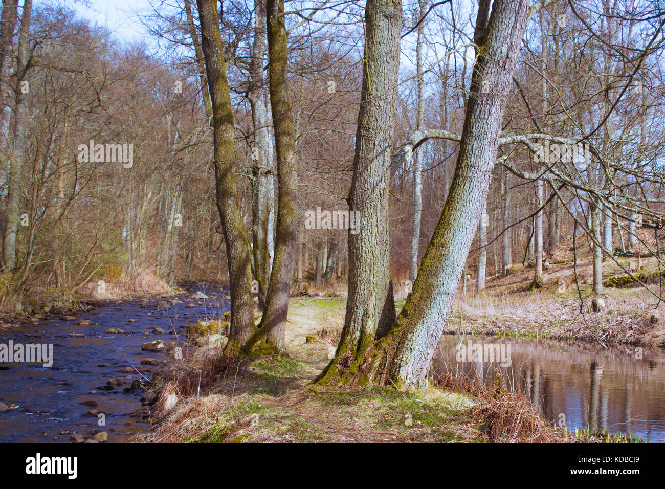 Quiet flood hi-res stock photography and images - Alamy
