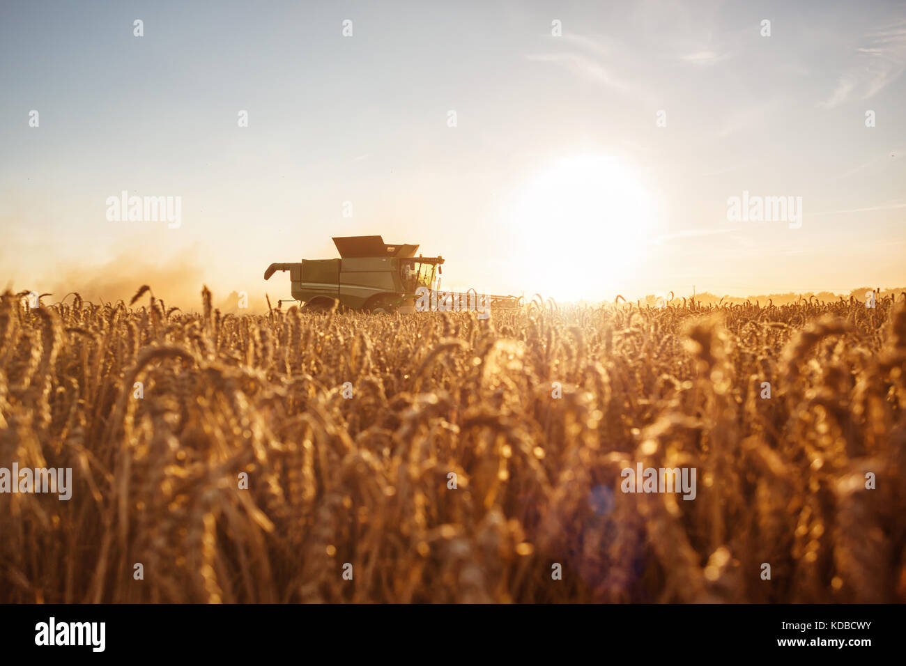 Combine harvester on the field at sunset Stock Photo - Alamy
