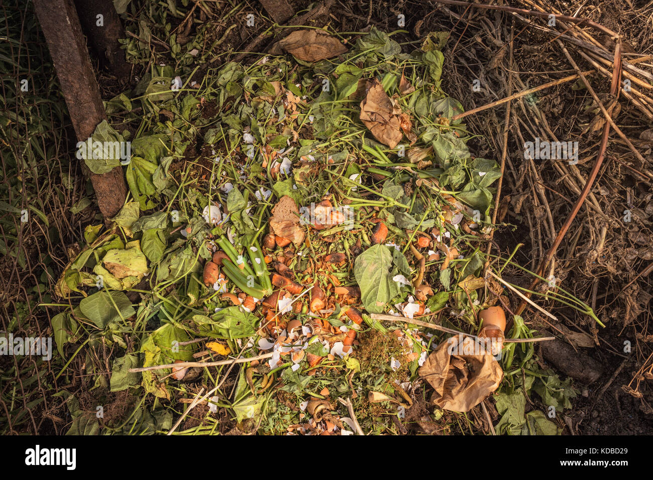 Natural Compost Topview Stock Photo - Alamy