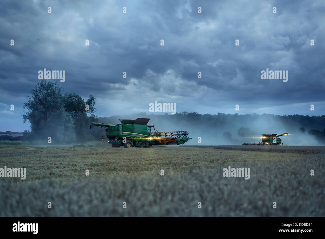 Grain harvester combines on wheat hi-res stock photography and images ...