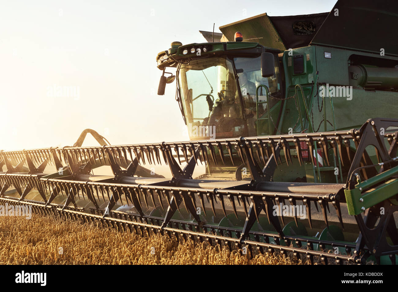 Cutting unit of a combine while harvesting Stock Photo - Alamy