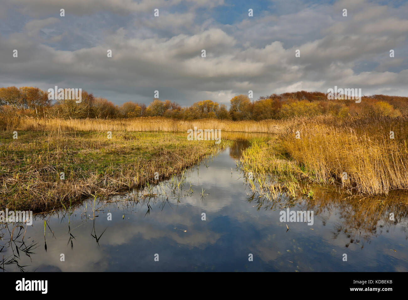 Dawlish Warren; Devon; UK Stock Photo - Alamy