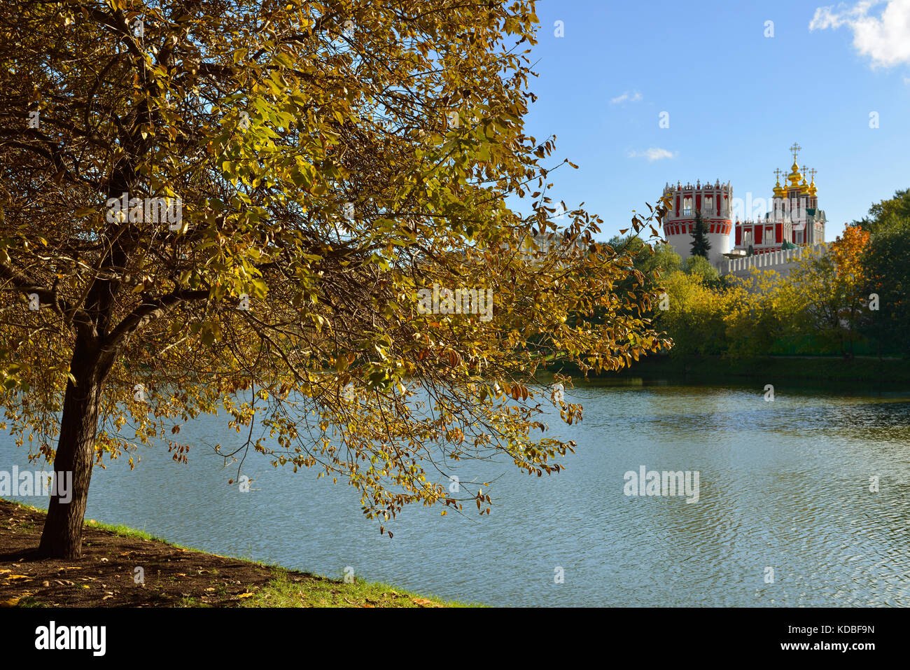 Golden Autumn in park of Novodevichy Convent. Moscow, Russia Stock ...