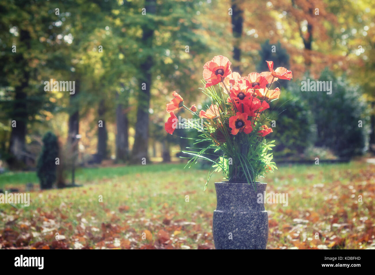 Poppy in cemetery hi-res stock photography and images - Alamy
