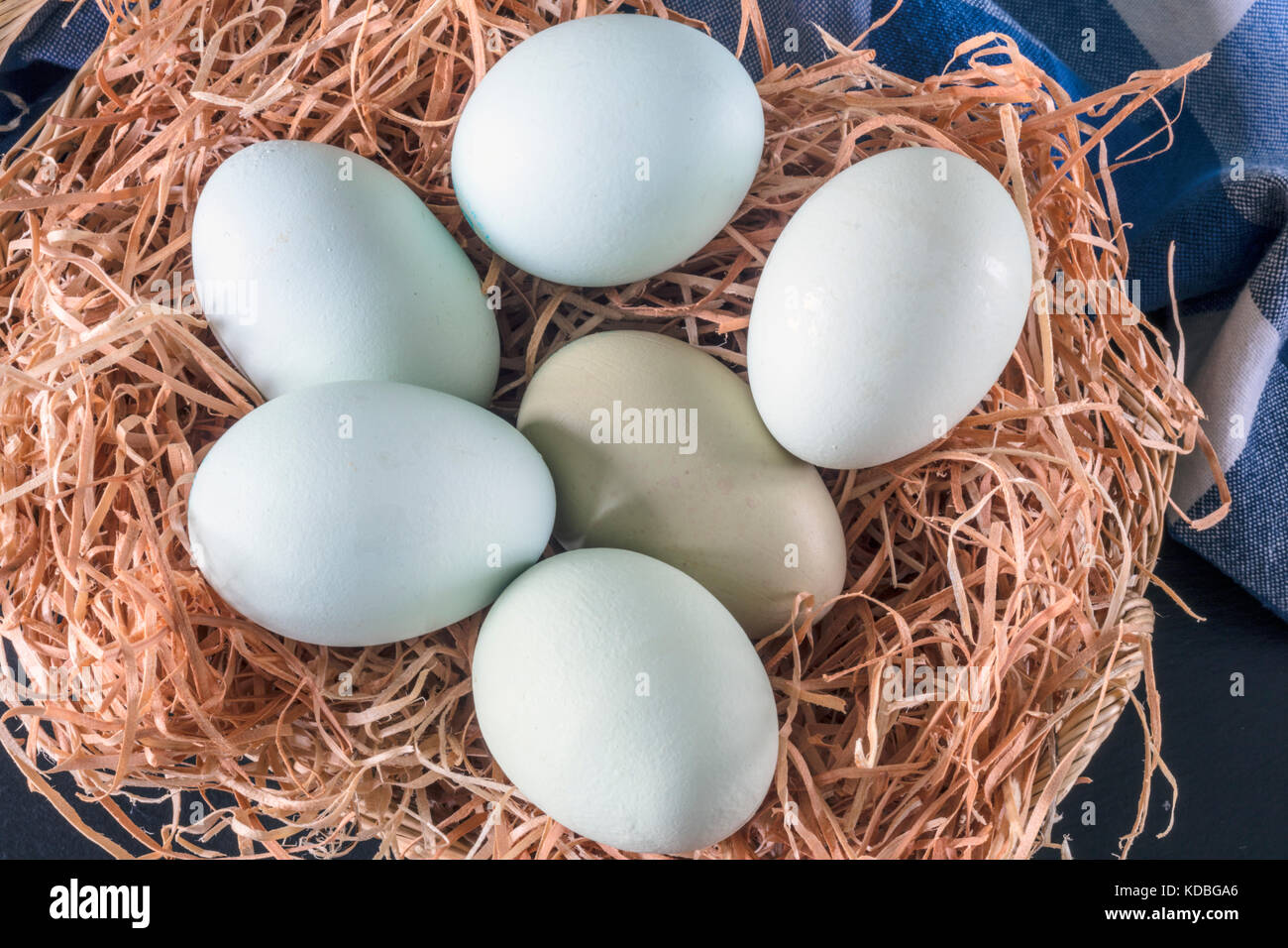 Blue eggs in a straw nest Stock Photo - Alamy