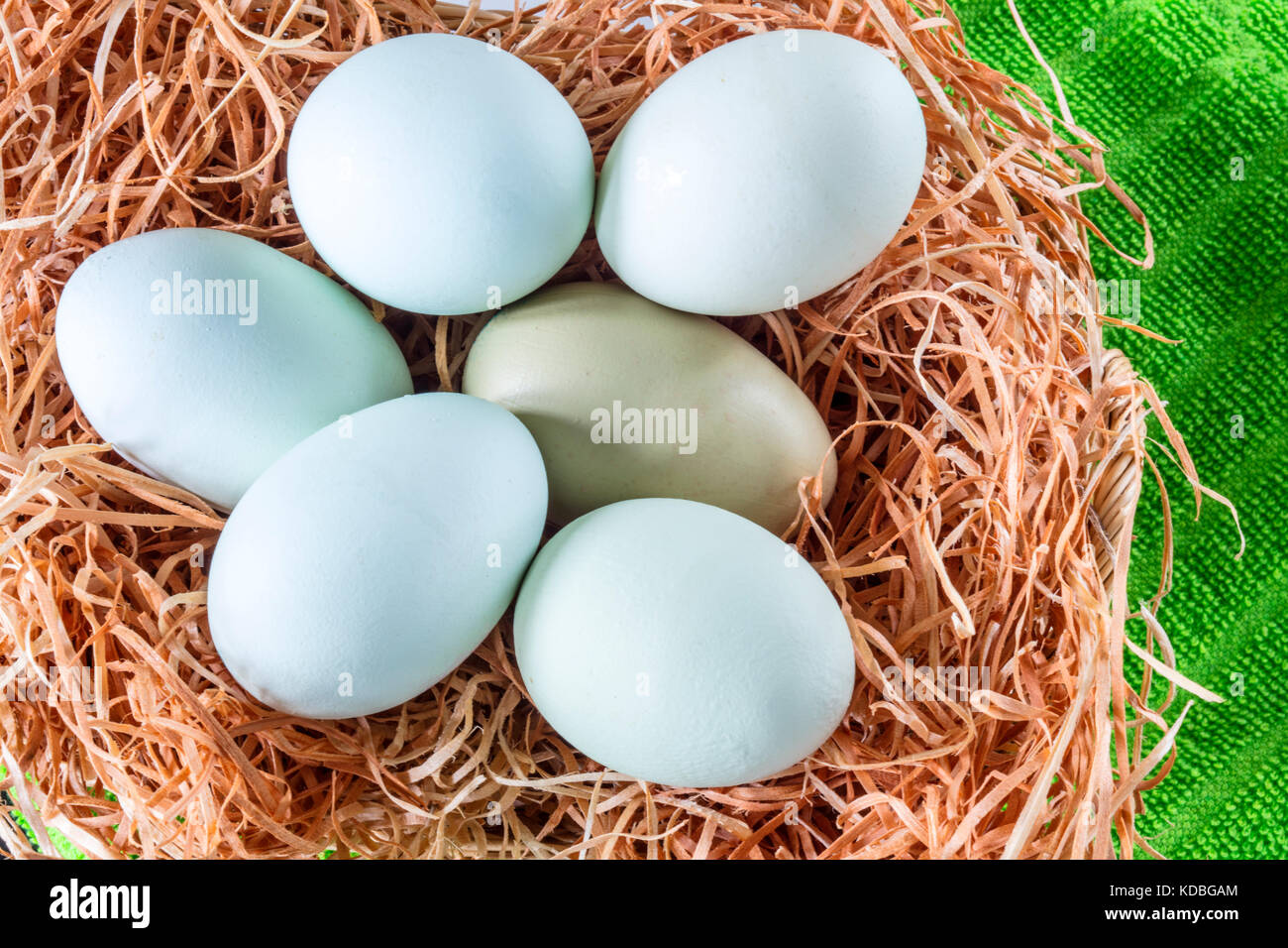 Straw nest free range hi-res stock photography and images - Alamy
