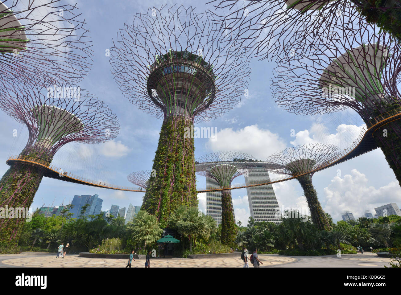 Singapore. 2016/05/20. The huge park "Gardens by the Bay" (101 hectares ...