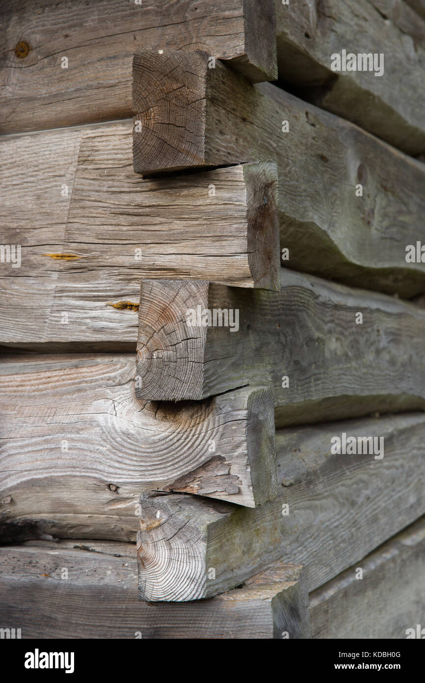 A ramshackled shack in a woodland Stock Photo - Alamy