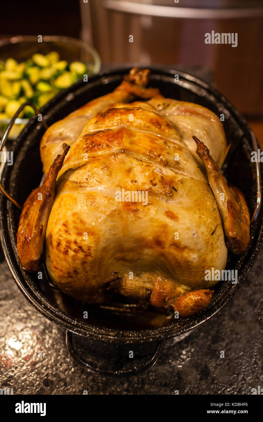 Homemade roasted Thanksgiving Day turkey in the kitchen. Vertical ...