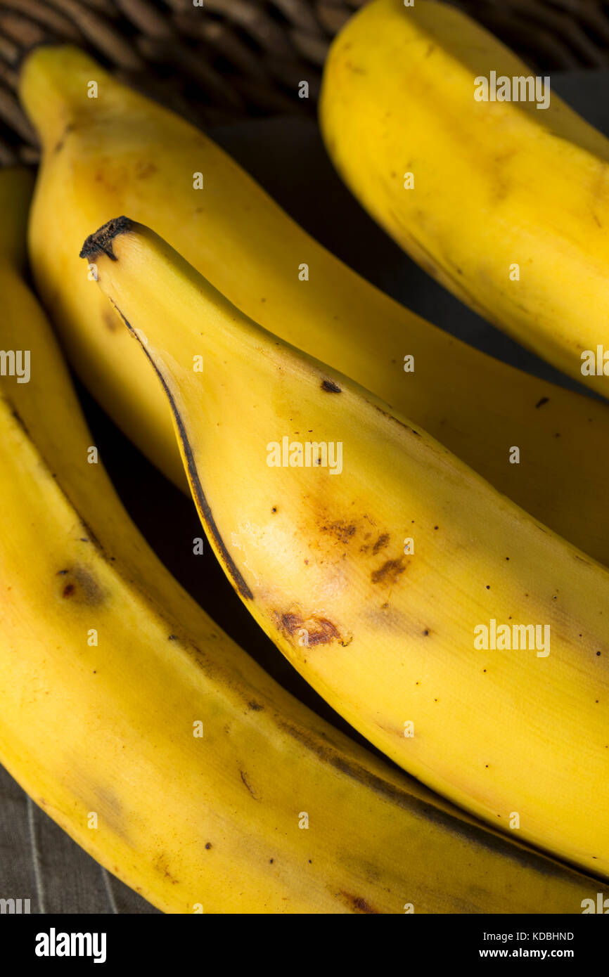 Raw Organic Yellow Plantain Bananas Ready to Chop Stock Photo - Alamy