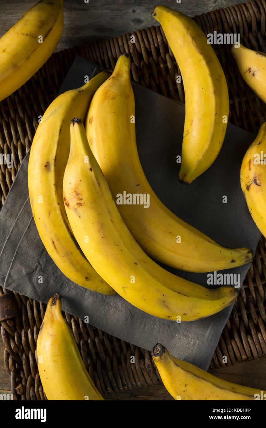 Raw Organic Yellow Plantain Bananas Ready to Chop Stock Photo - Alamy