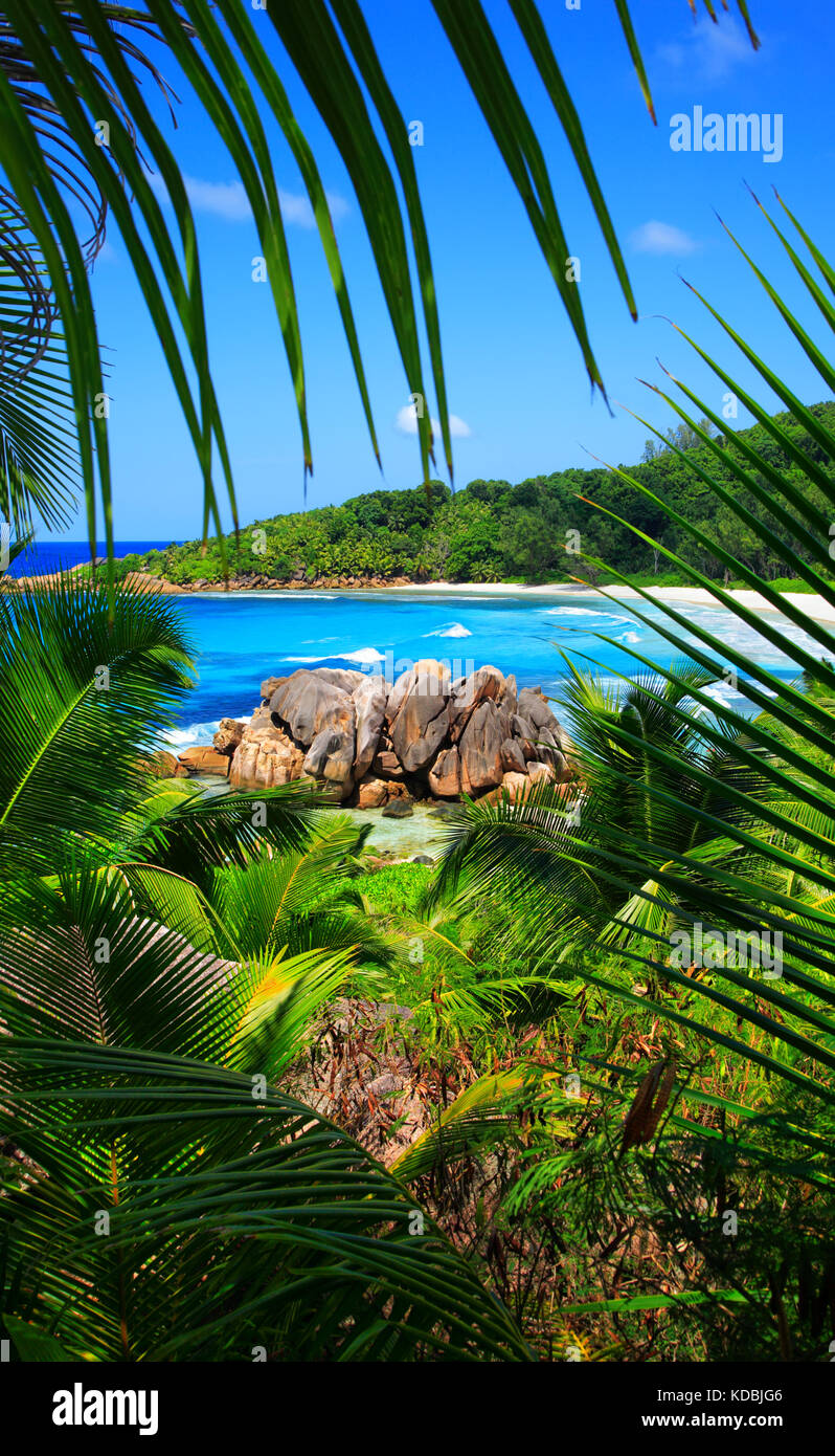 Cocos island national park hi-res stock photography and images - Alamy