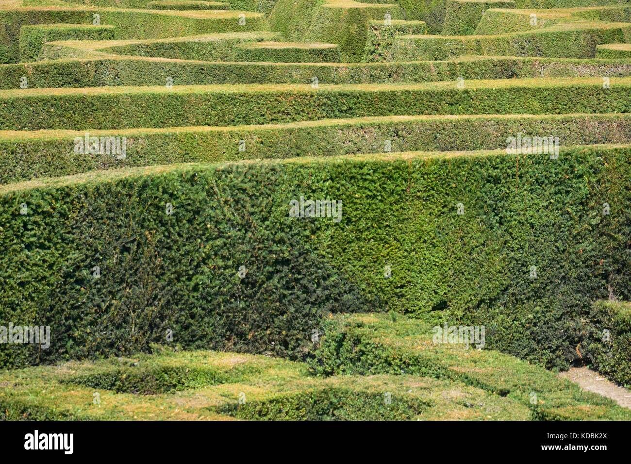 Maze hedge pattern labyrinth hi-res stock photography and images - Alamy