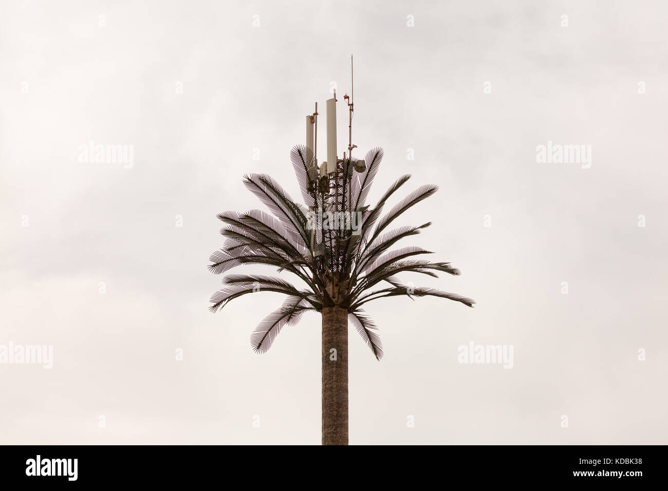Disguised mast hi-res stock photography and images - Alamy