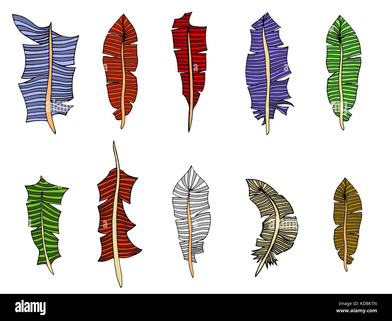 Feather Set. Vector illustration. Isolated on white Stock Vector Image ...