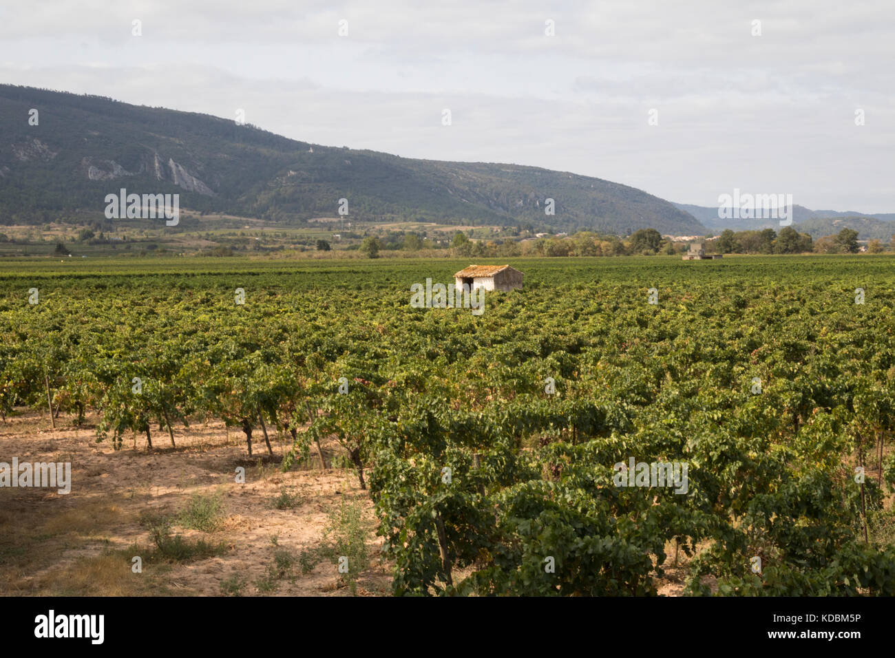 Marseillette hi-res stock photography and images - Alamy