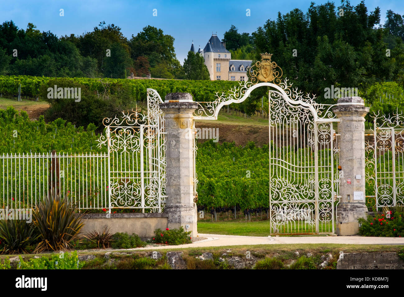 Vineyards Chateau La Riviere, Fronsac. Bordeaux wine region. Aquitaine ...