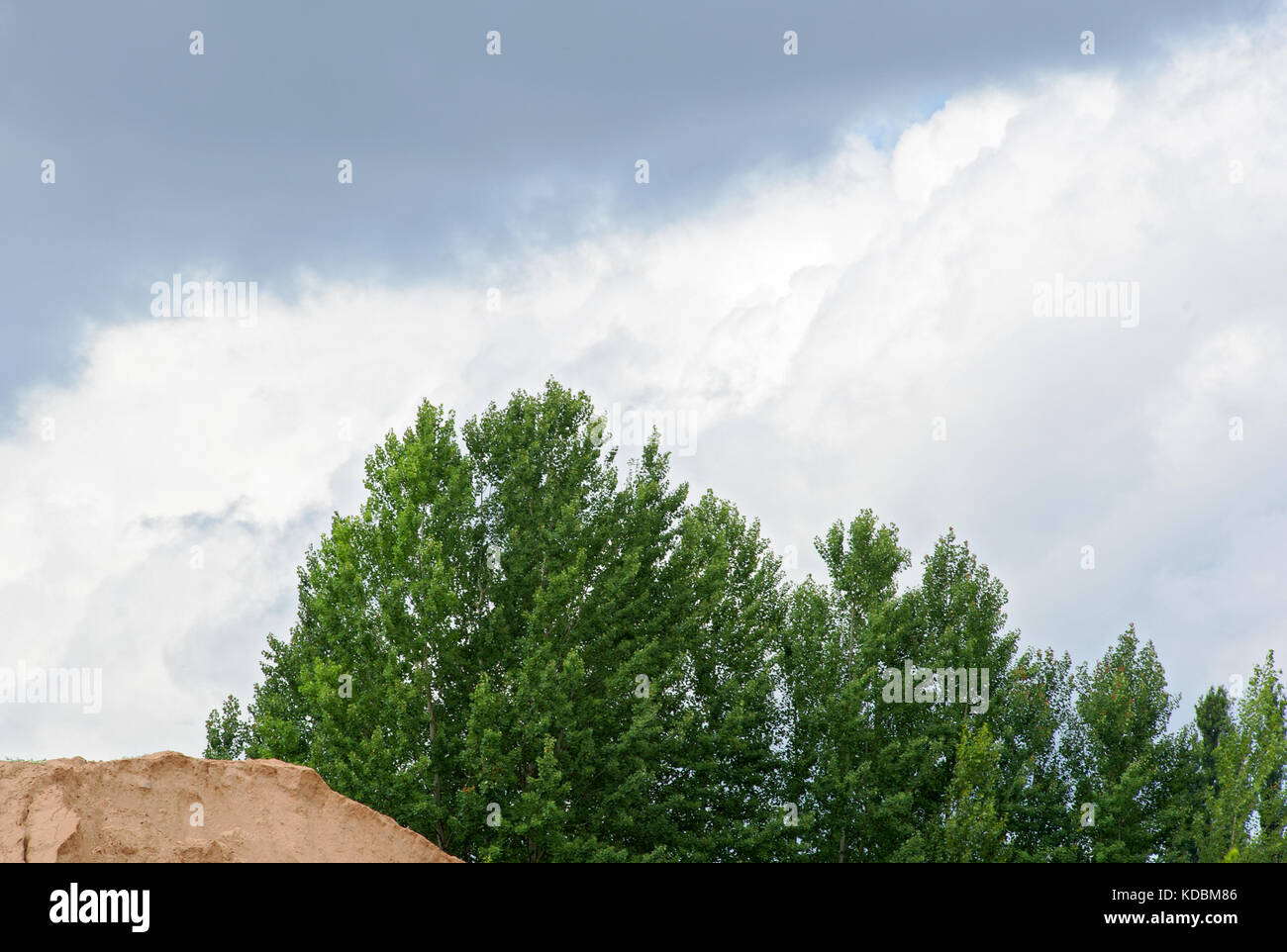 Cloudy sky with trees hi-res stock photography and images - Alamy