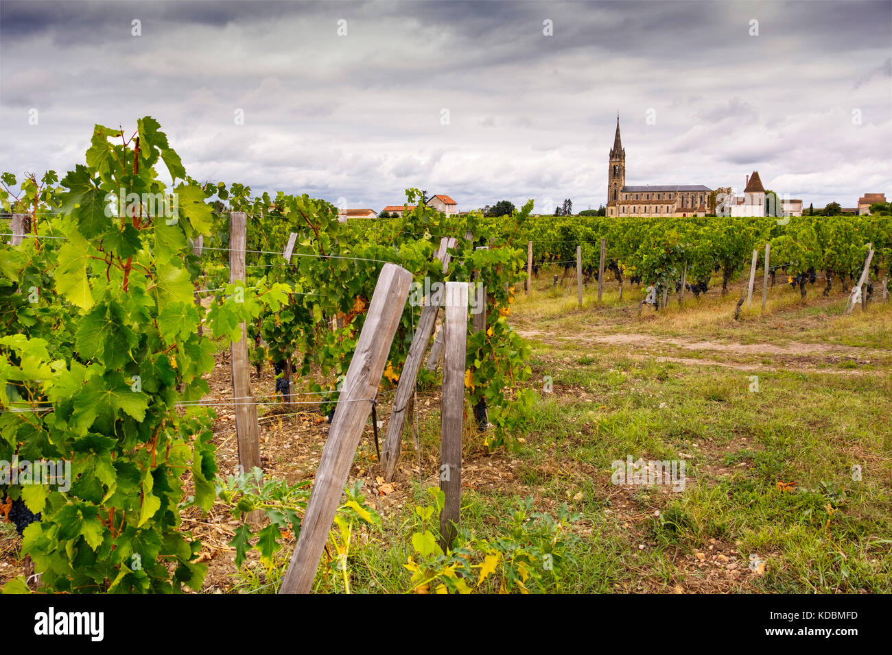 Vineyards. Pomerol. Bordeaux wine region. Aquitaine Region, Gironde ...