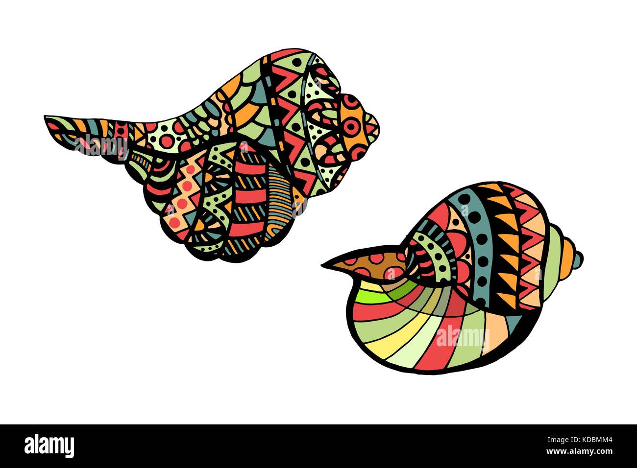 Hand drawn seashell. Isolated on white background. Vector illustration ...