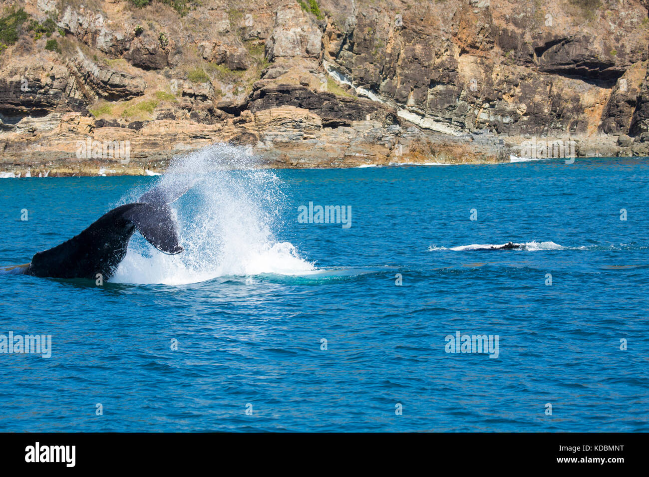 Australian splash hi-res stock photography and images - Alamy