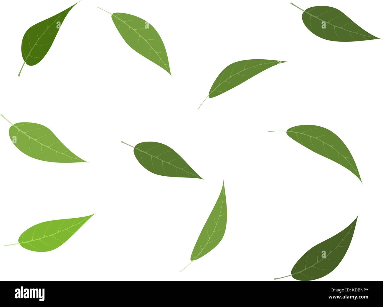 Vector illustration set of green tree leaves Stock Vector Image & Art ...