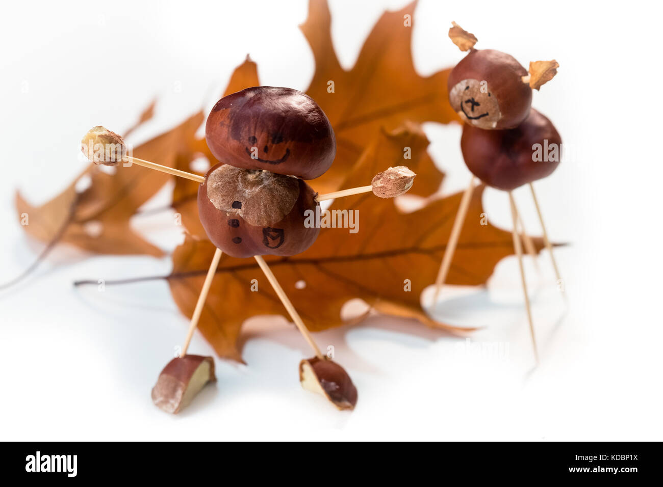Chestnut toy isolated on white background Stock Photo - Alamy