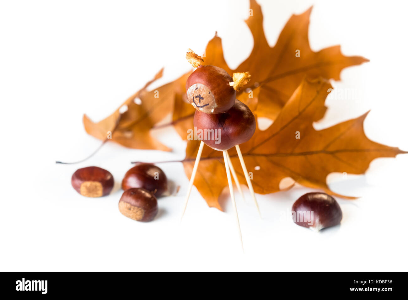 Chestnut toy isolated on white background Stock Photo - Alamy