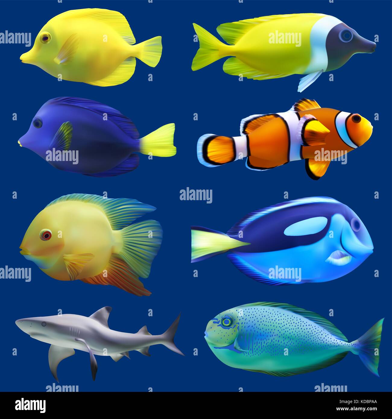 Set of tropical fish. Vector illustration Stock Vector Image & Art - Alamy