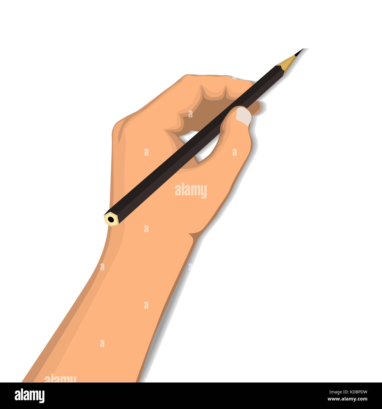 Hand with pencil isolated on white, vector illustration Stock Vector ...