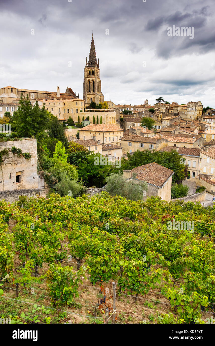 Panoramic view & vineyards, Saint-Emilion Bordeaux wine region ...